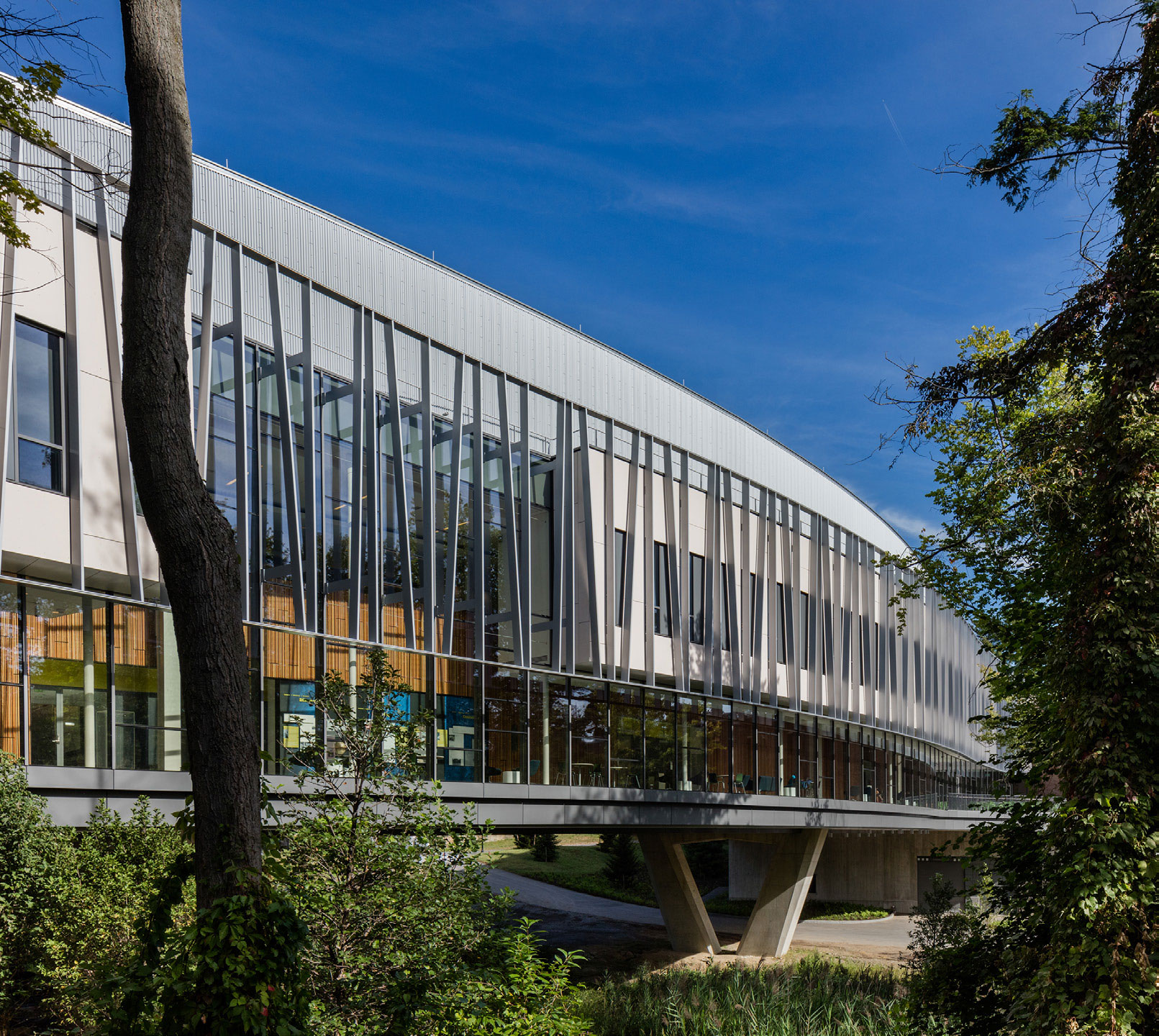 Vassar College Bridge for Laboratory Sciences Integrated Science ...