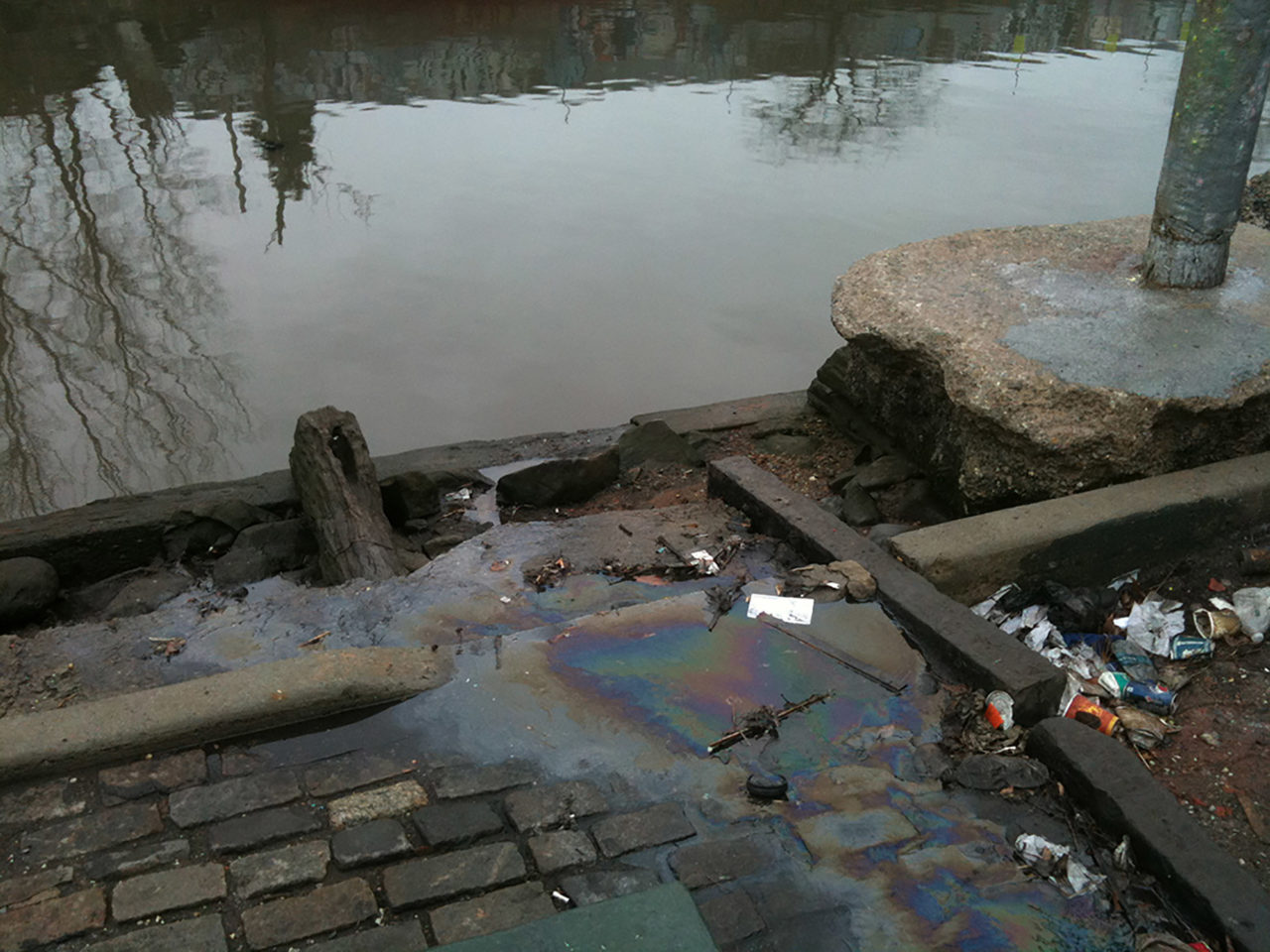 The Gowanus Canal Sponge Park Pilot — AIA New York