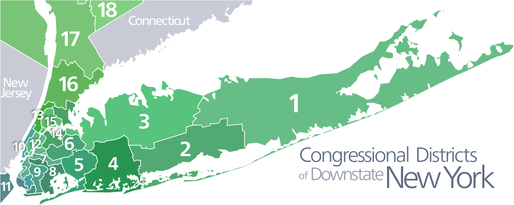 Policy Pulse: 2018 Congressional Primaries — AIA New York
