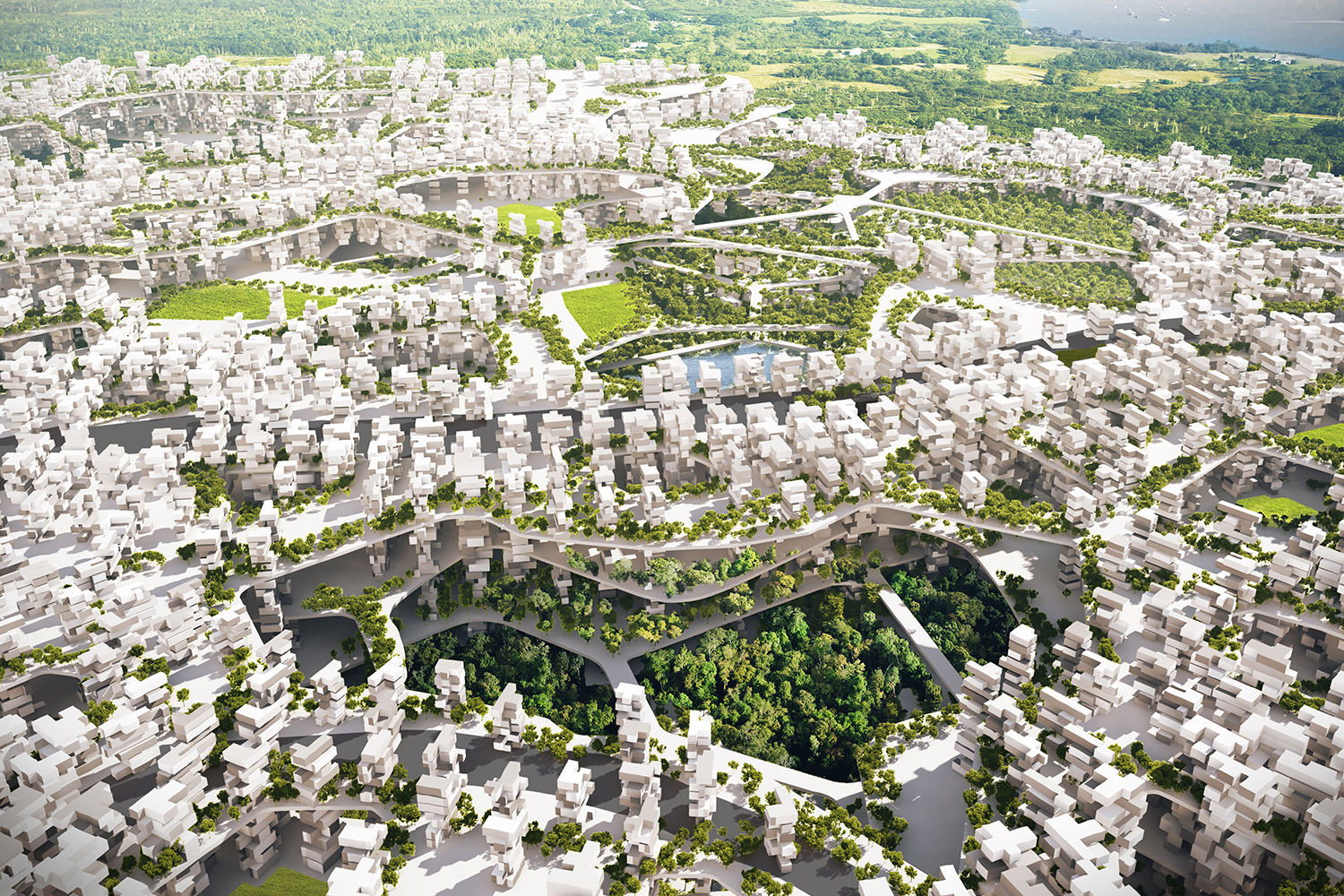 Featured Member: Raya Ani, FAIA, LEED AP — AIA New York