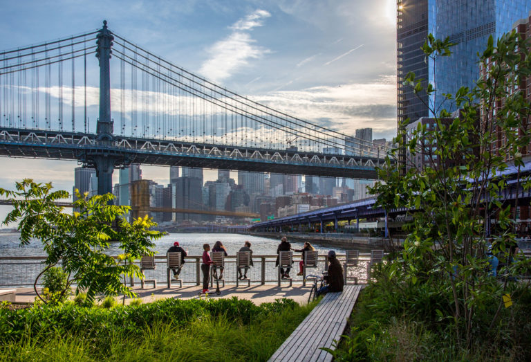 Pier 35 — AIA New York
