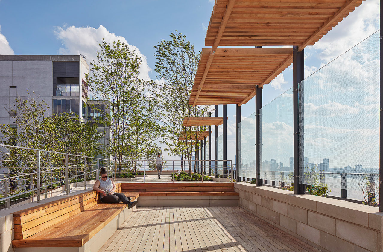 Solar Carve — AIA New York