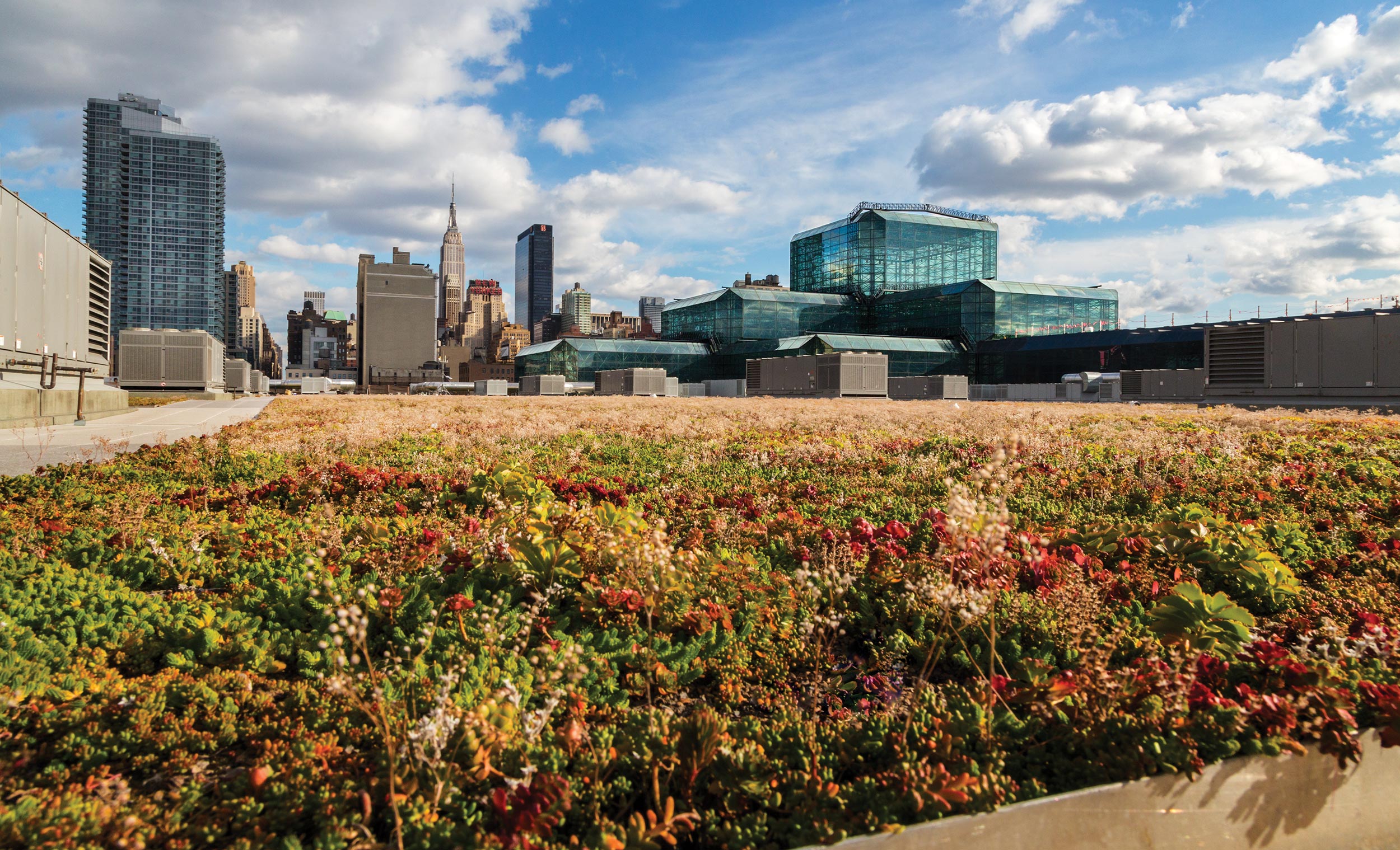 Infrastructure is Ecology — AIA New York