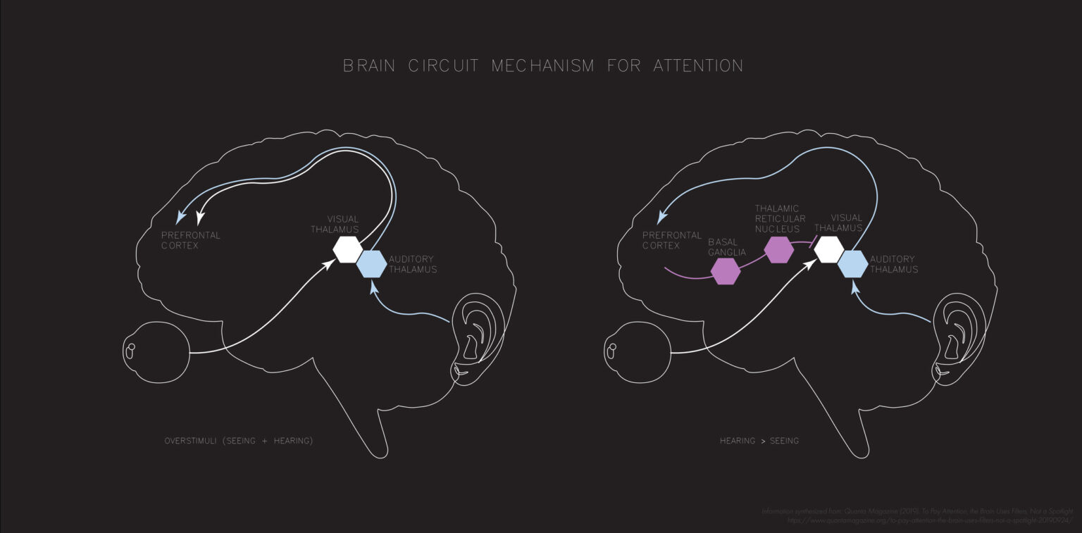 Op-Ed: The Sensory School — AIA New York
