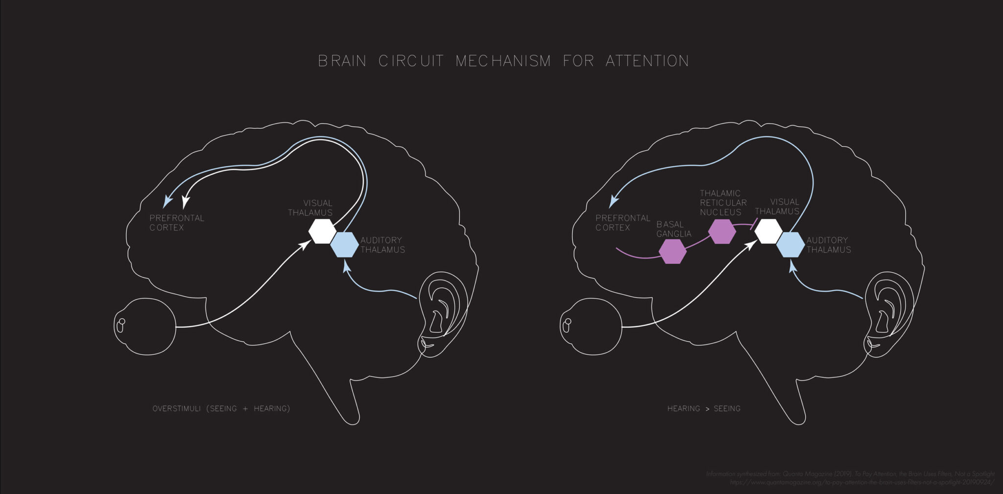 Op-Ed: The Sensory School — AIA New York