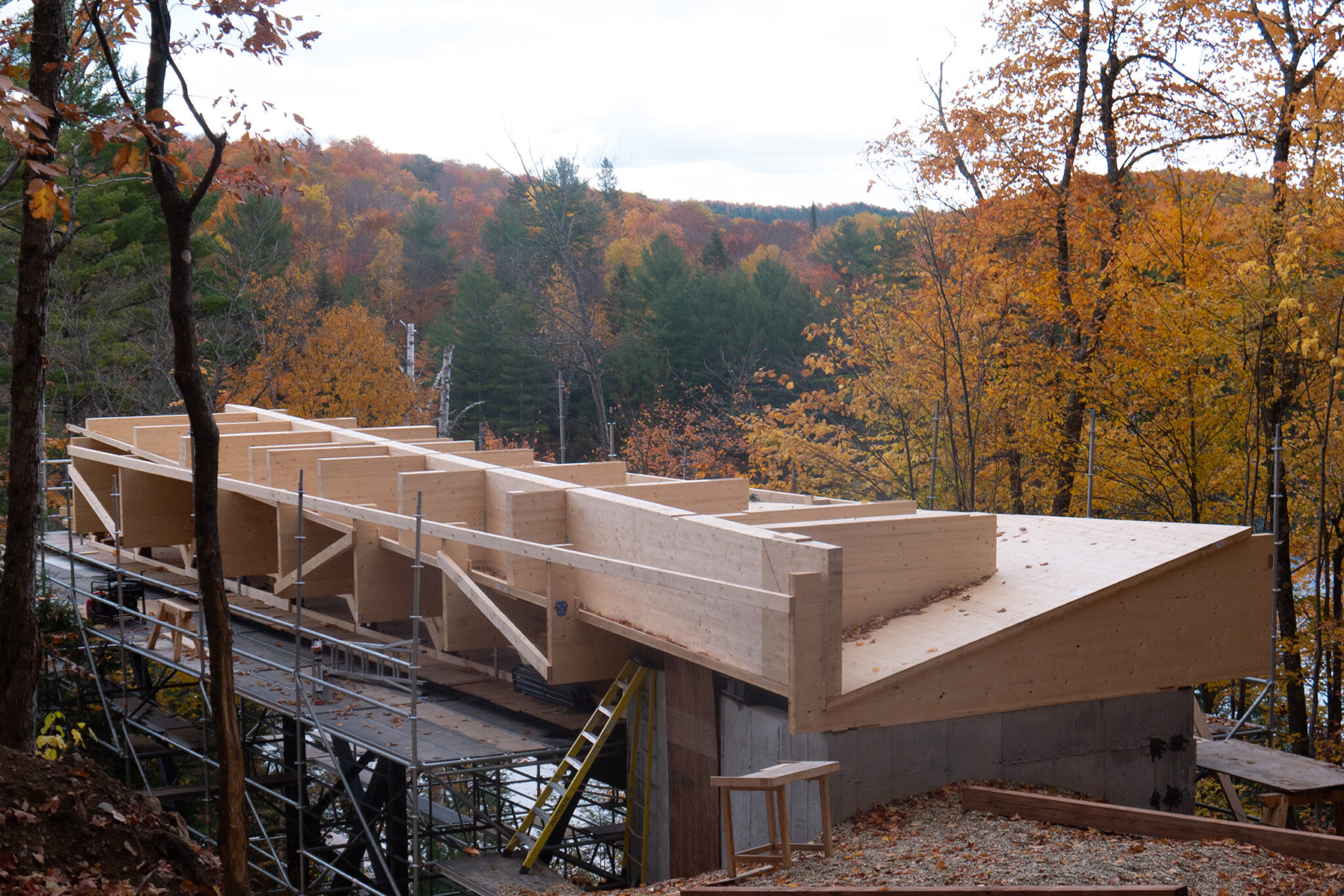 m.o.r.e CLT Cabin — AIA New York