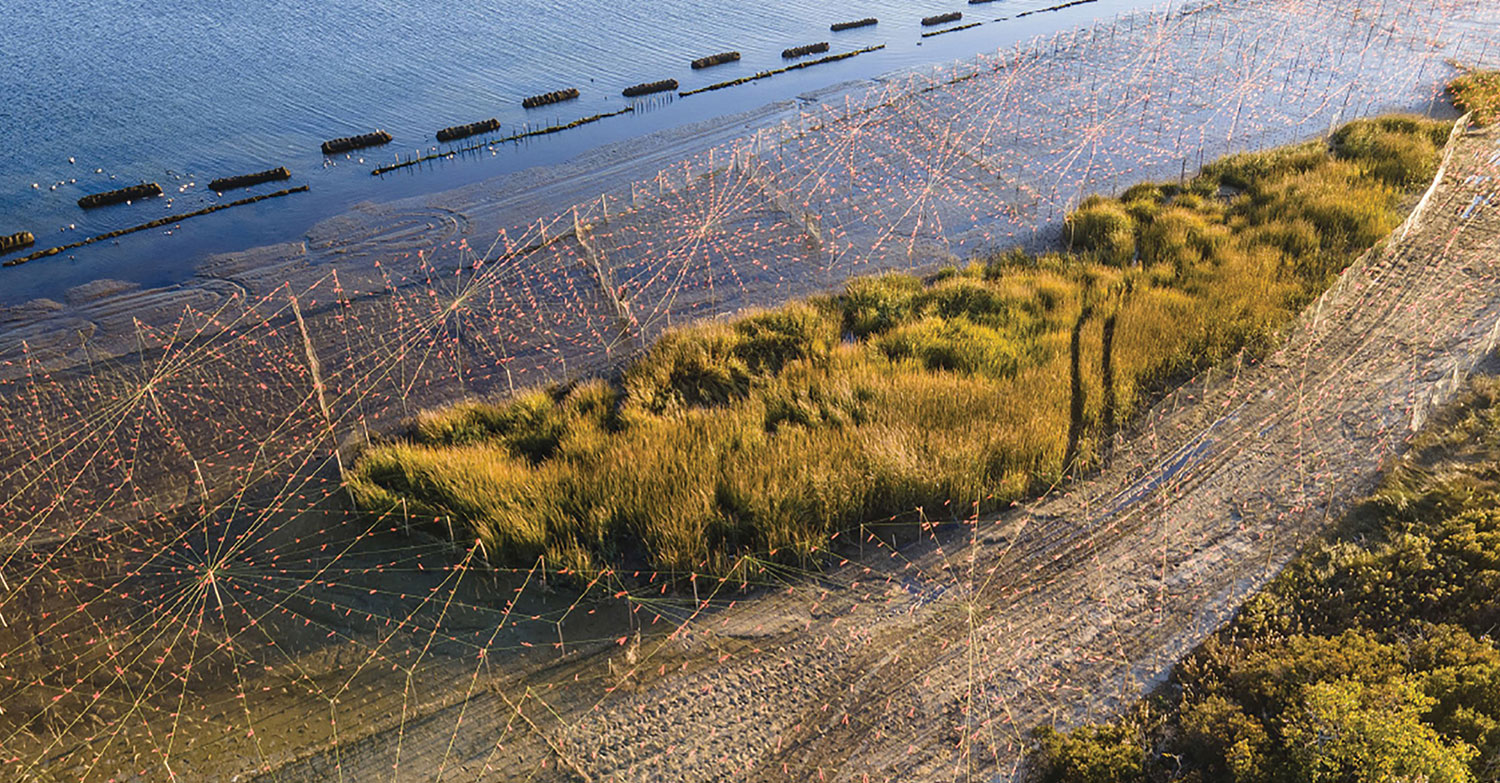 The Pathfinders: Landscape Architects and Urbanists Share Recent ...