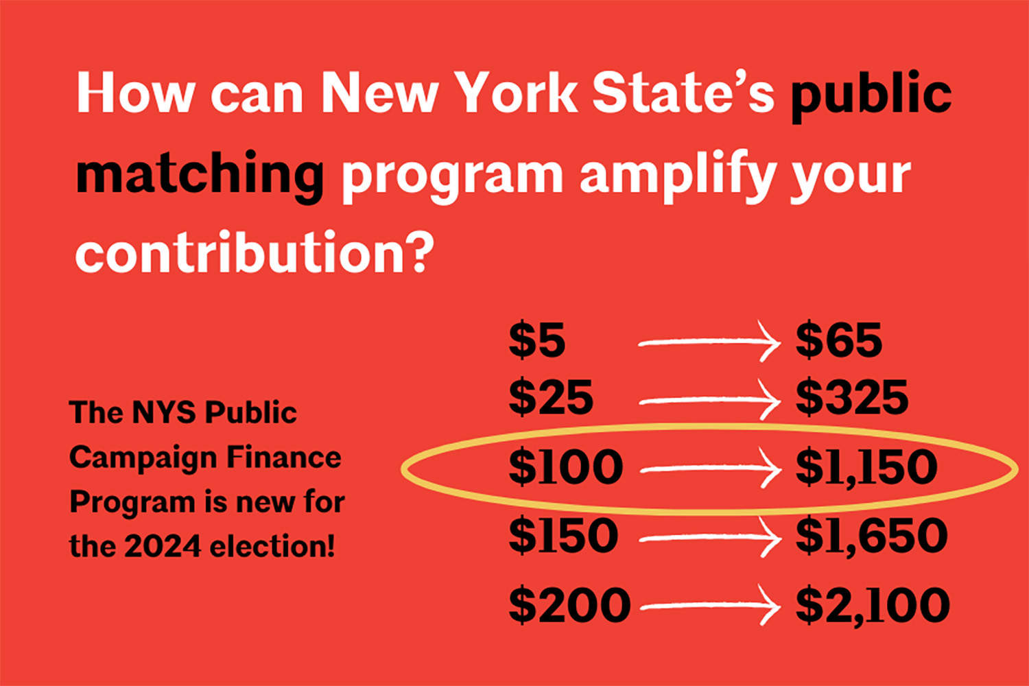 New York State's Public Matching Program Launches for 2024 Elections ...