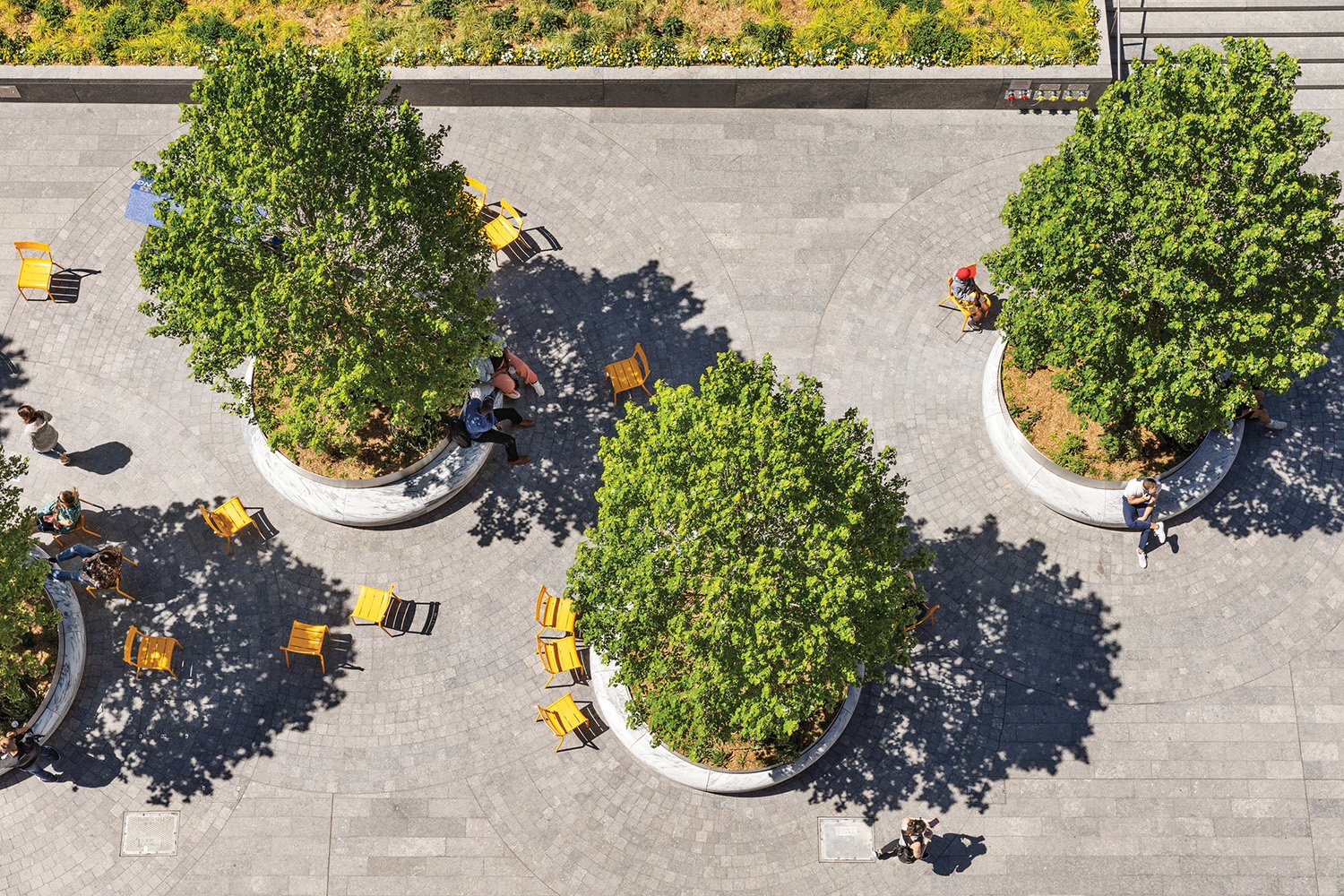 Street Level: Plaza 33 — AIA New York